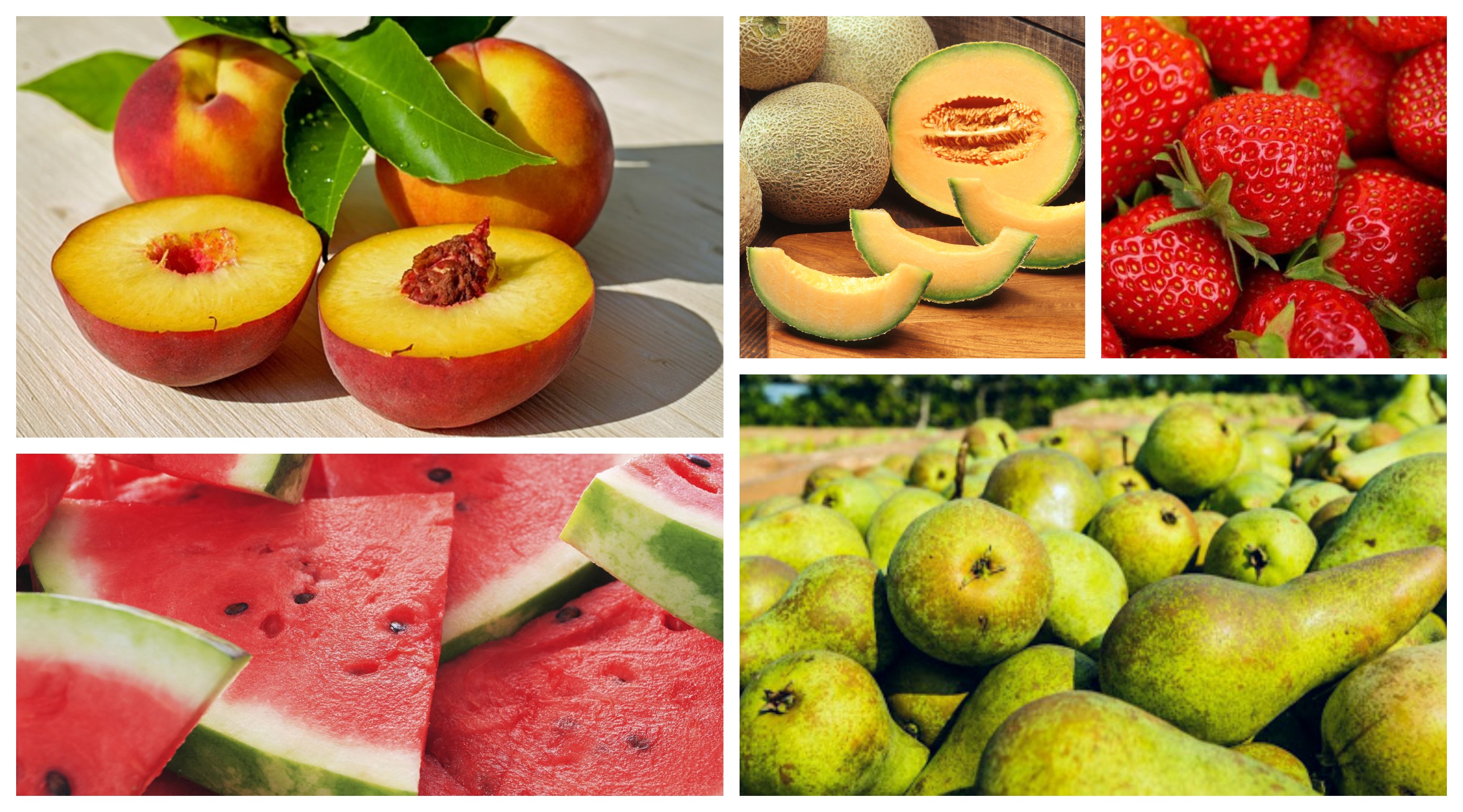 Ferrara's fruit — Ferrara Terra e Acqua