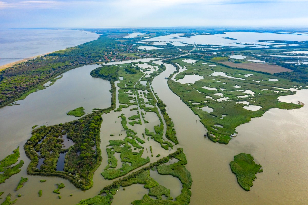 Un viaggio nel silenzio della foce — Ferrara Terra e Acqua